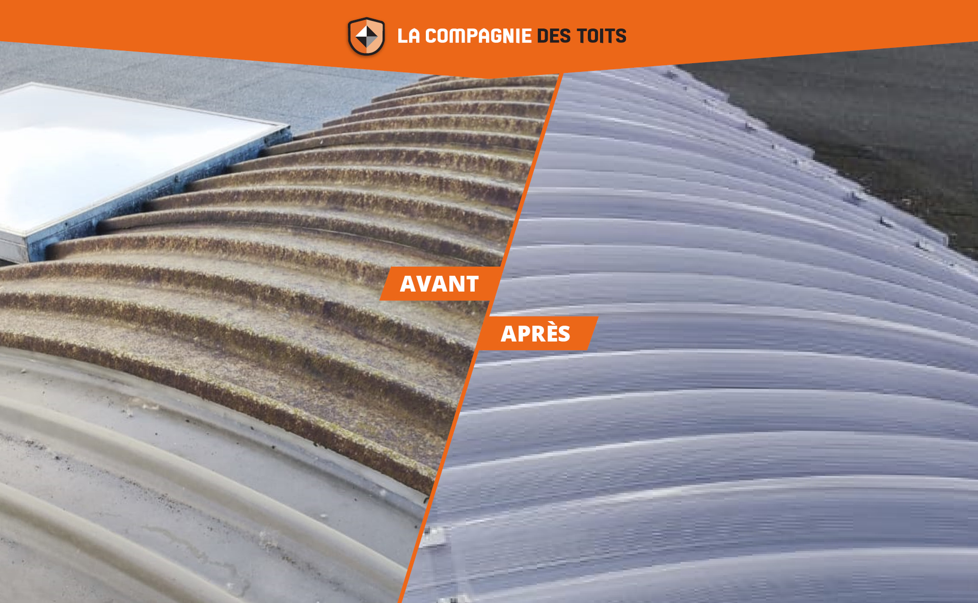 Remplacement des voûtes et translucides en toiture à Anse (69)