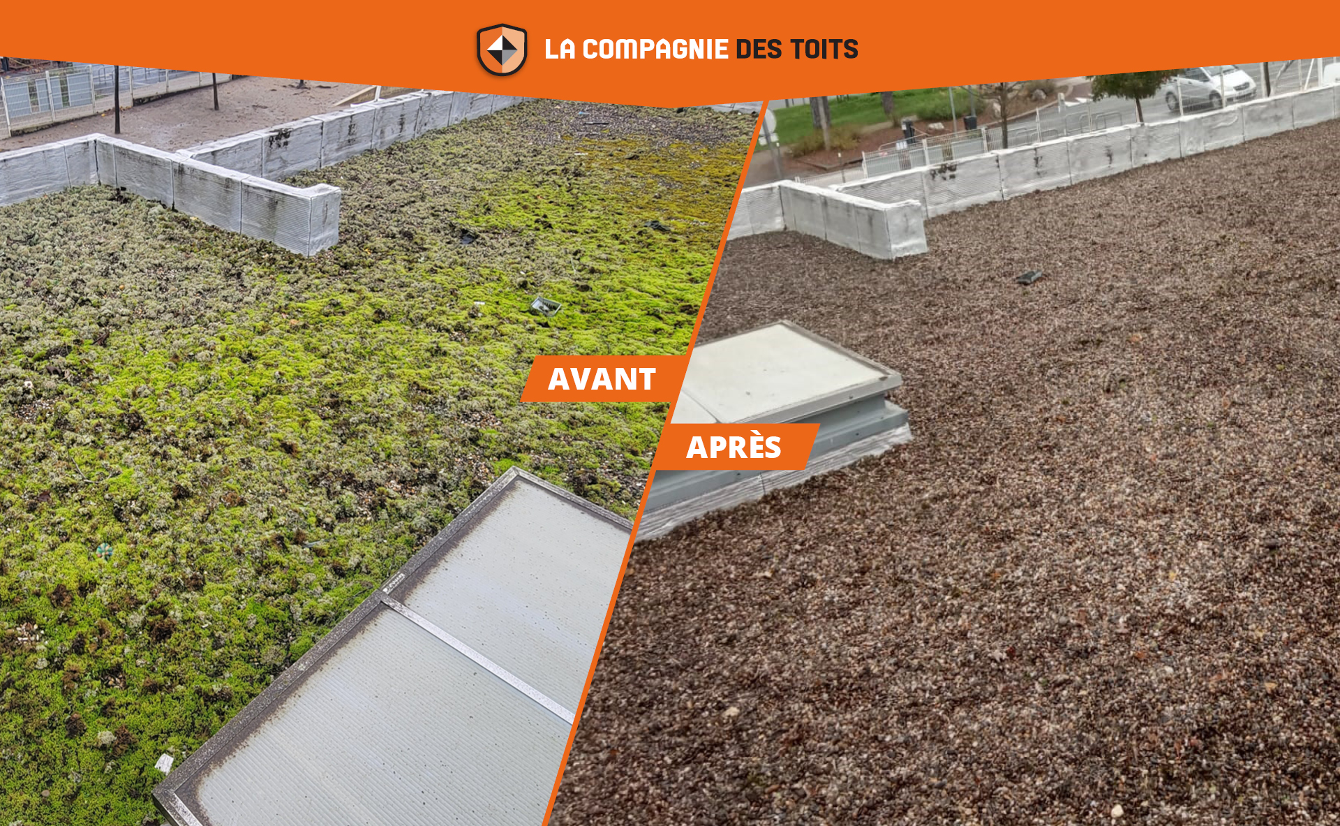 Entretien curatif d’un toit-terrasse suite à la présence de mousses et ...